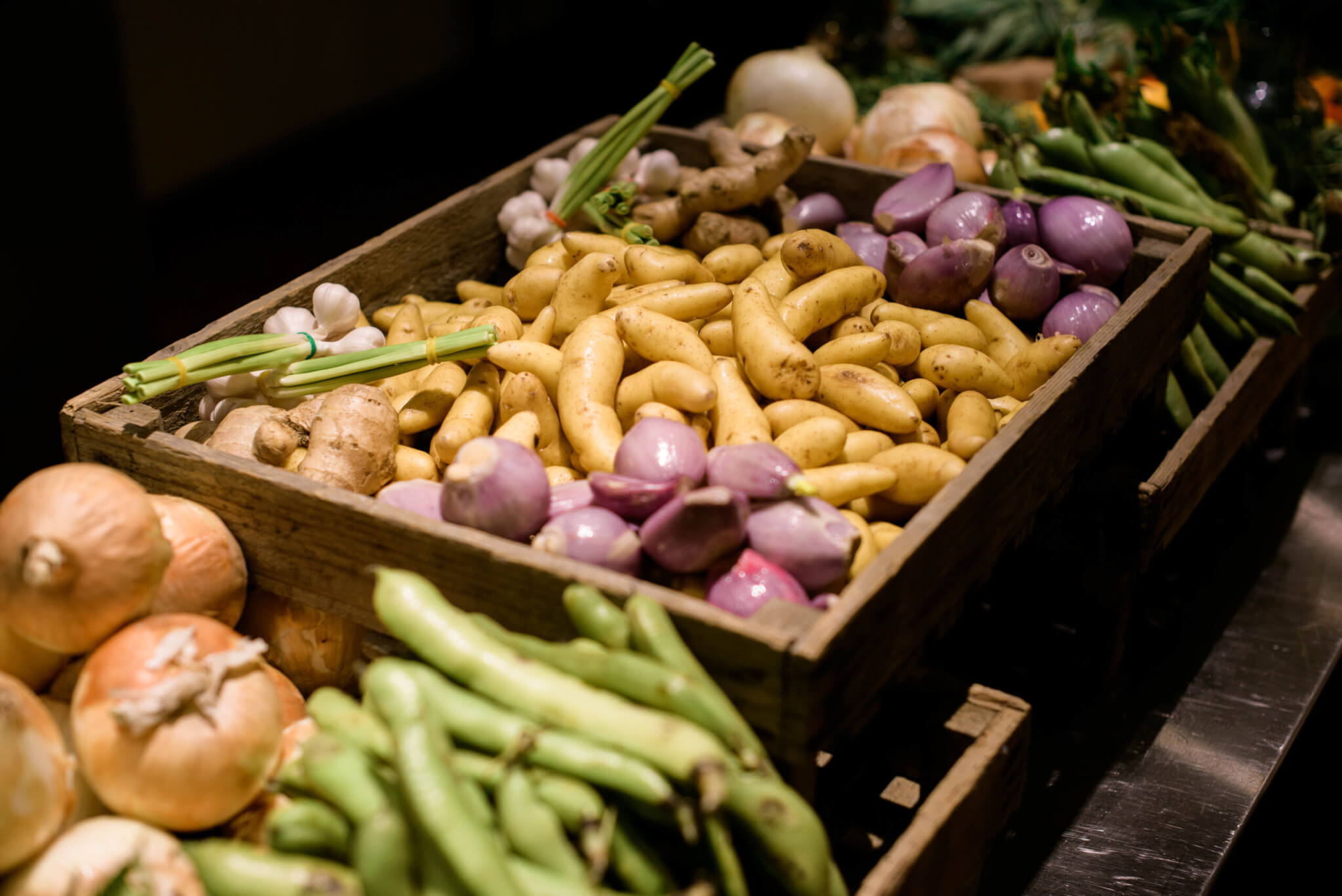 The Future of Food – Fresh Ideas Food Service Management