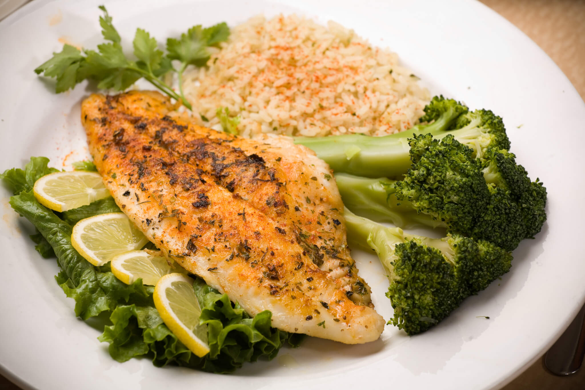 The Rise of Protein-Rich Meals in Dining Halls – Fresh Ideas Food ...